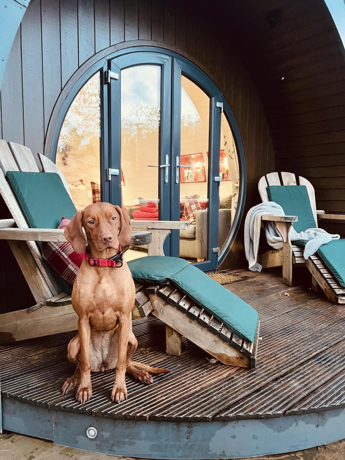 Luxury Camping Pods for Glamping Holidays in Yorkshire: Catgill Farm